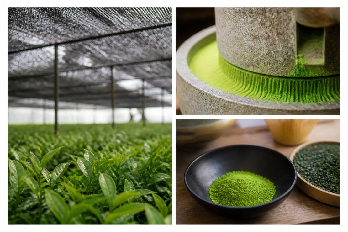 Matcha Tee: Tradition, Herstellung und Zubereitung – UNEARTHED gallery